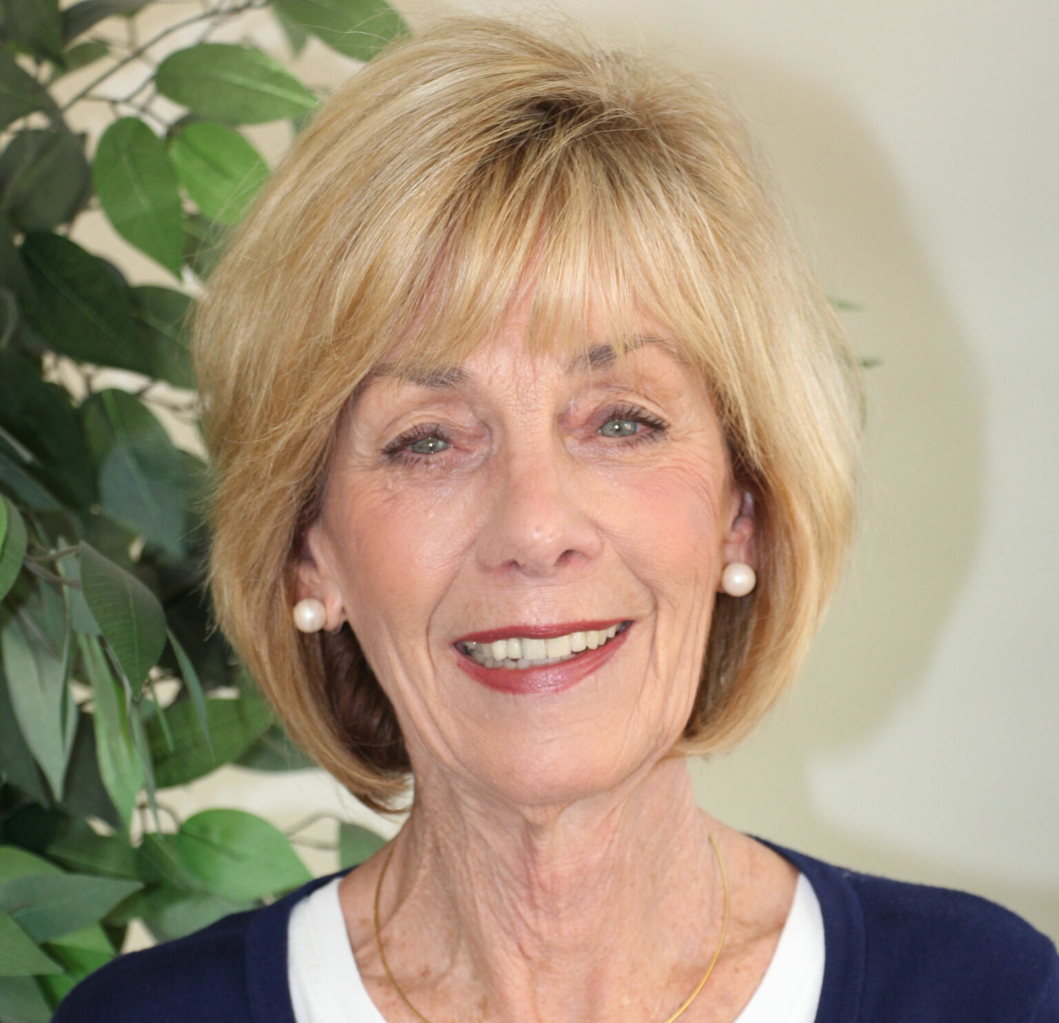 Anne Hansen - Discerning Deacons